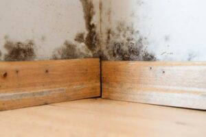 Floor Separating From The Wall: Why And How To Fix It